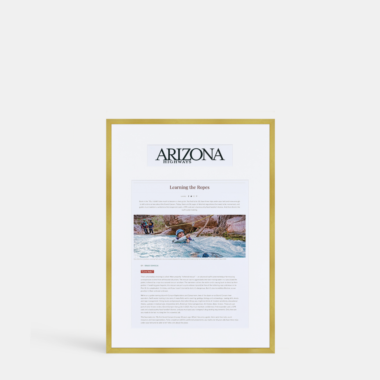 Framed Online Article | Headliner, Gold, Magazine